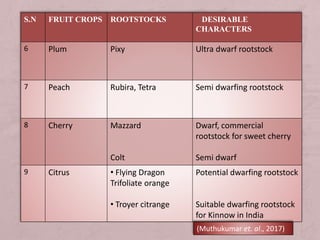 CANPOY CLASSIFICATION AND CANOPY MANAGEMENT THROUGH ROOTSTOCK AND SCION ...