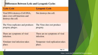 Characteristic and life cycle of DNA and RNA.pptx