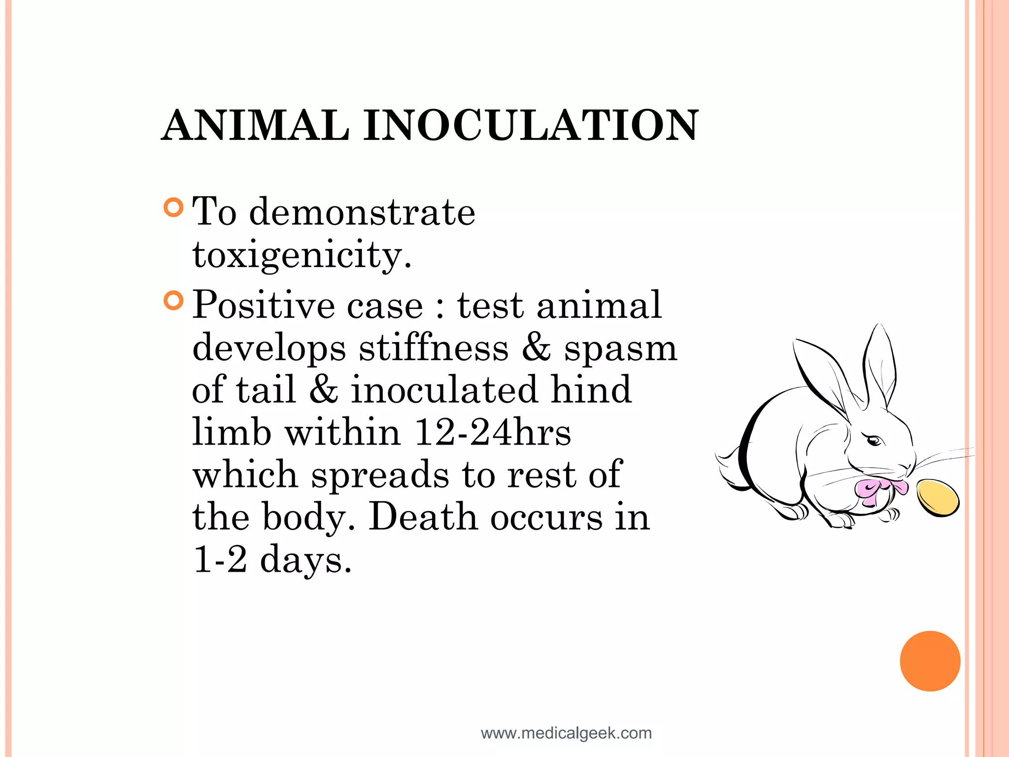 Tetanus Presentation | PPT