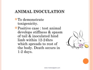 Tetanus Presentation | PPT