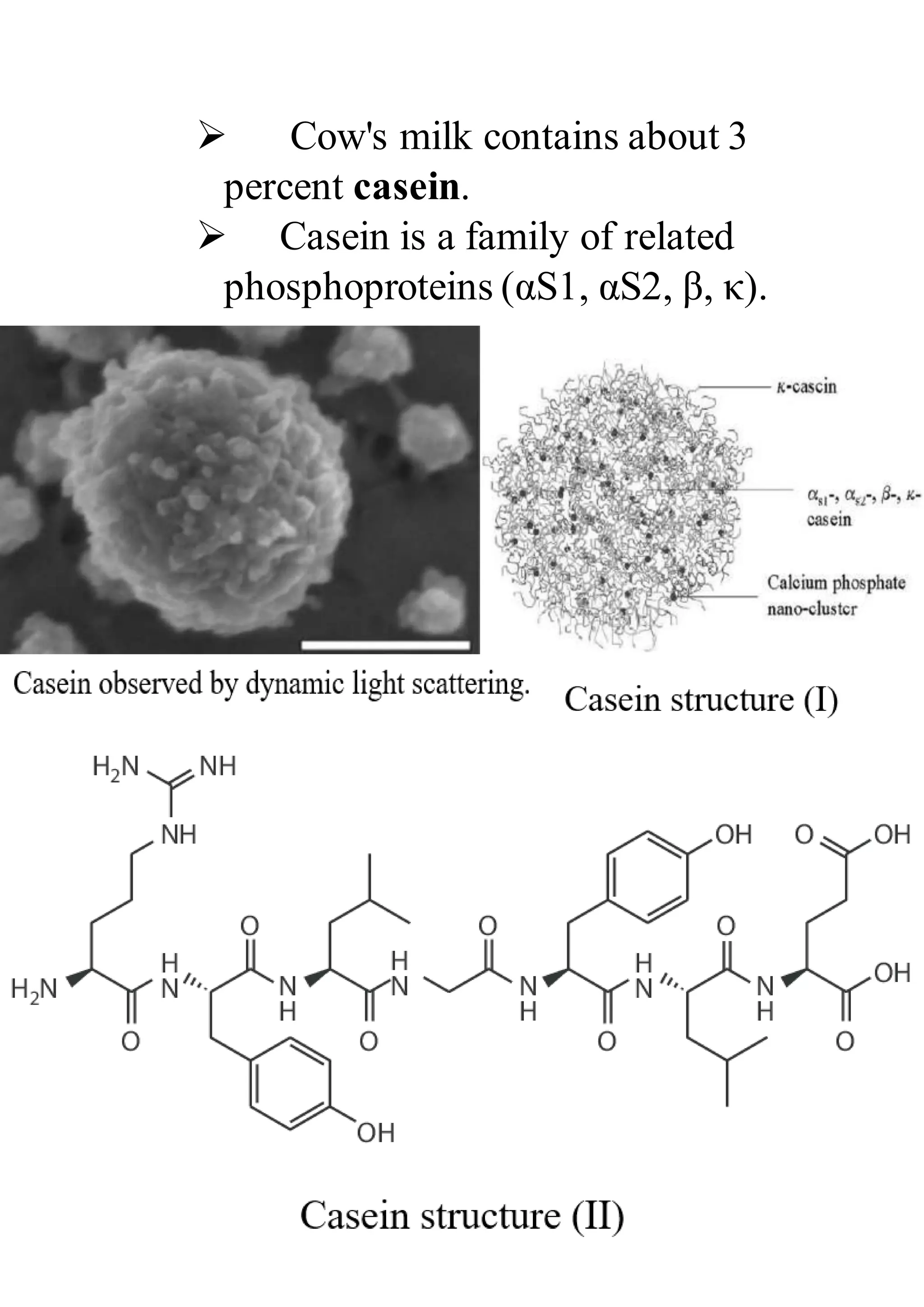 TO STUDY THE QUANTITY OF CASEIN PRESENT IN DIFFERENT SAMPLES OF MILK | DOCX