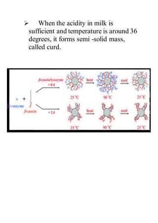TO STUDY THE QUANTITY OF CASEIN PRESENT IN DIFFERENT SAMPLES OF MILK | DOCX