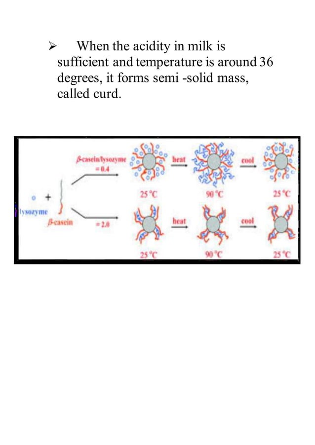 TO STUDY THE QUANTITY OF CASEIN PRESENT IN DIFFERENT SAMPLES OF MILK | DOCX | Chemistry | Science