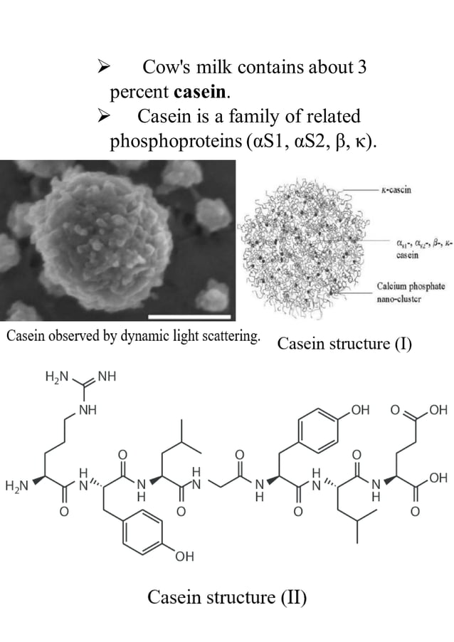 TO STUDY THE QUANTITY OF CASEIN PRESENT IN DIFFERENT SAMPLES OF MILK ...