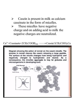 TO STUDY THE QUANTITY OF CASEIN PRESENT IN DIFFERENT SAMPLES OF MILK | DOCX