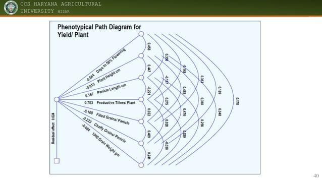 Correlation and Path analysis in breeding experiments | PPTX
