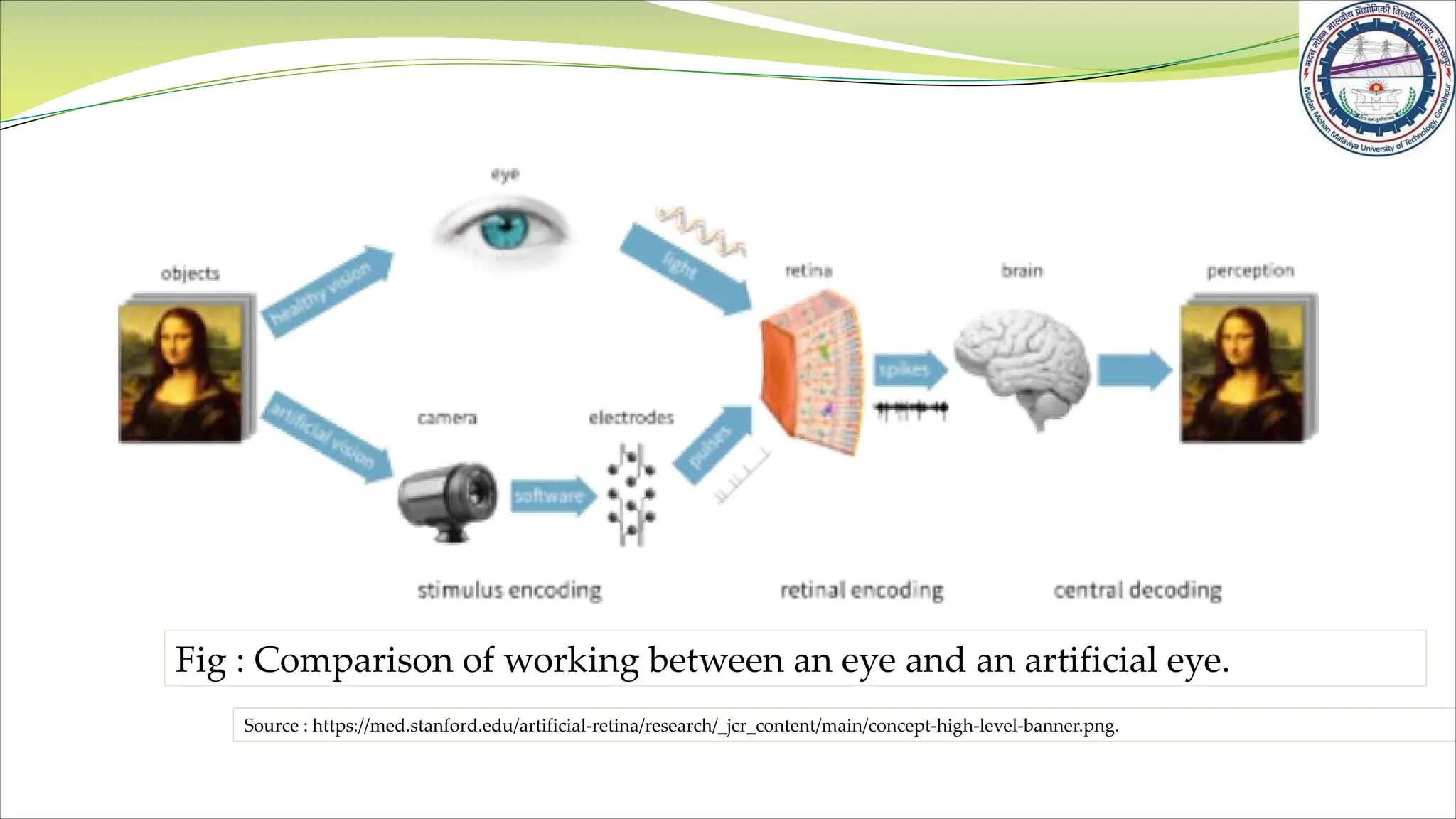Artificial eye and its applications in daily life | PDF