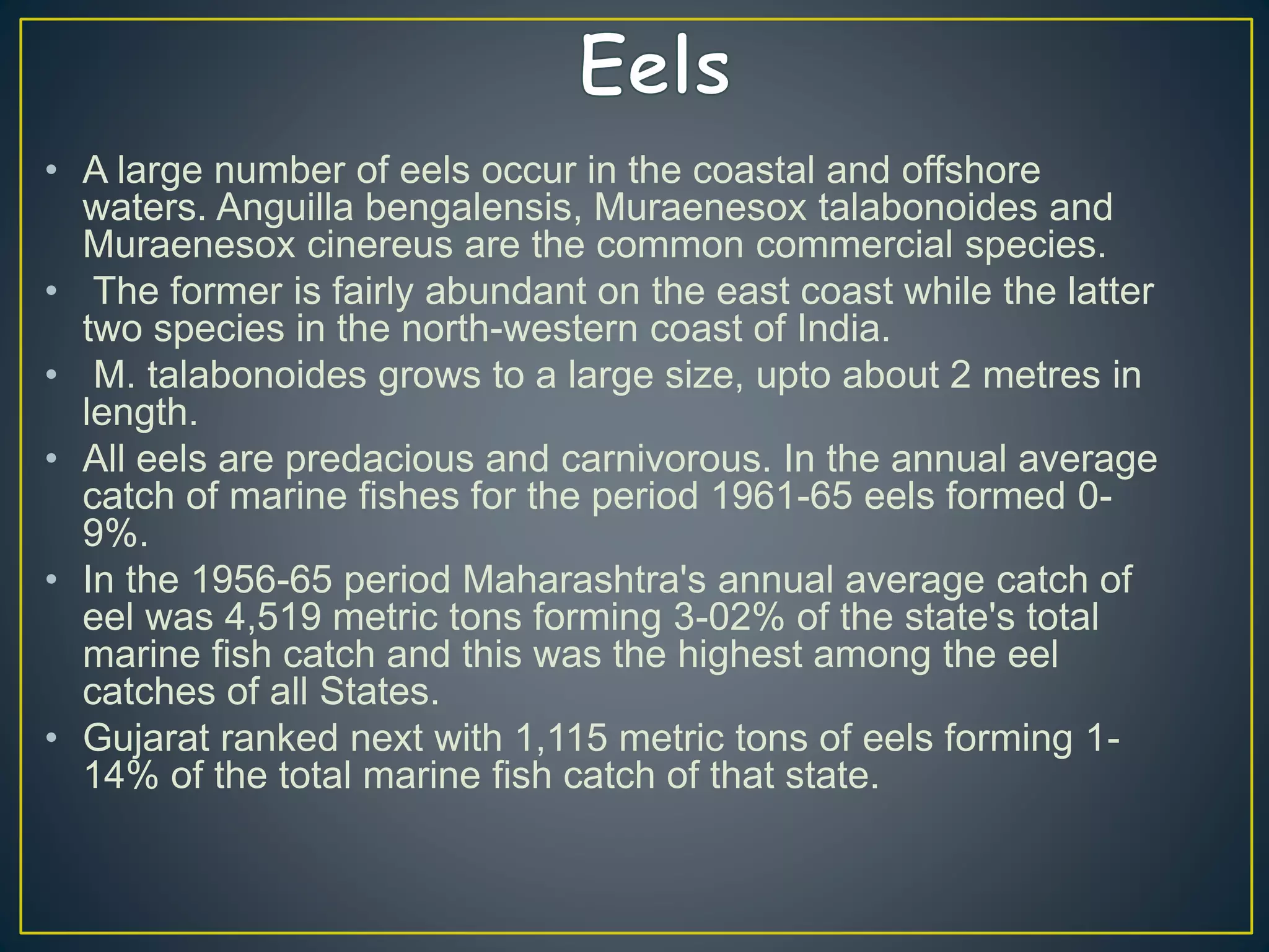Major Exploited Marine Fisheries of India | PPTX