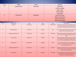 Fish Marketing Channels | PPTX