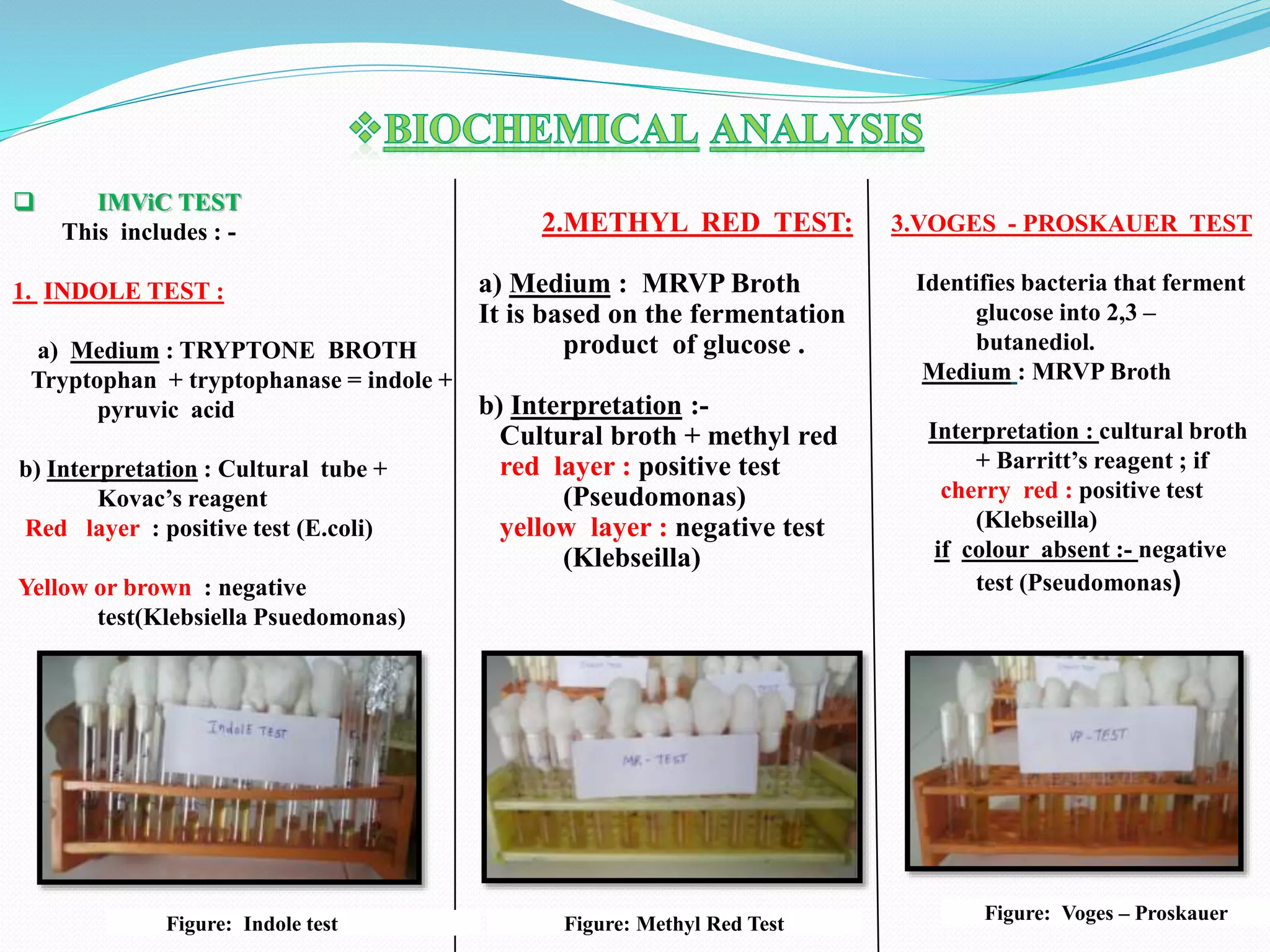 Medical Microbiology | PPTX