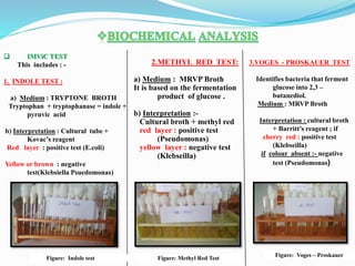 Medical Microbiology | PPTX