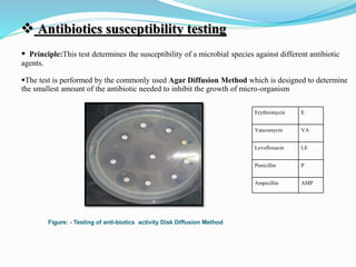 Medical Microbiology | PPTX