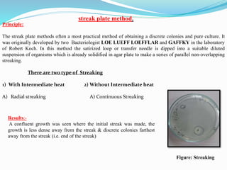 Medical Microbiology | PPTX