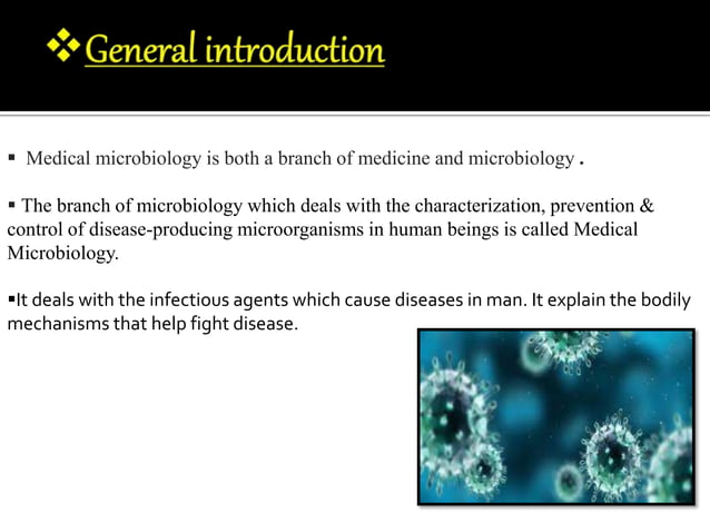 Bacteriology Is An Important Aspect Of Microbiology