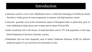 Ankit project ppt | PPT