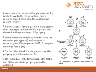 CYTOPLASMIC INHERITANCE | PPT
