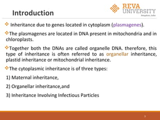 CYTOPLASMIC INHERITANCE | PPT