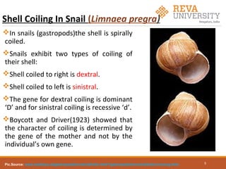 CYTOPLASMIC INHERITANCE | PPT