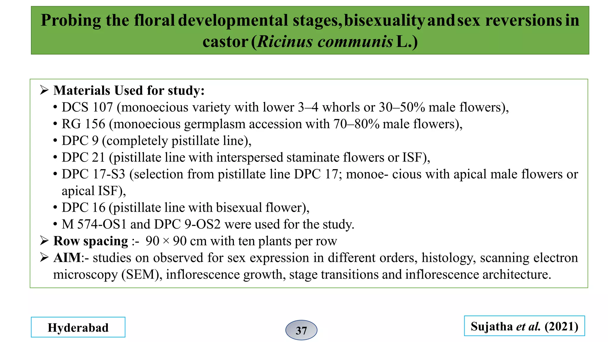 Genetic Mechanism of pistillateness in castor: Challenges & Needs | PPTX