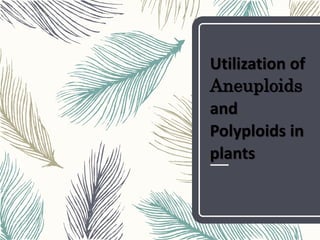 Utilization of polyploids and aneuploids in plants | PPTX