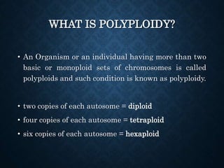 Utilization of polyploids and aneuploids in plants | PPTX