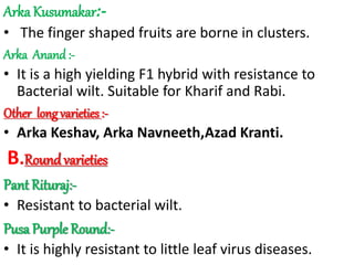 BRINJAL CULTIVATION , PRODUCTION TECHNOLOGY OF BRINJAL | PPTX