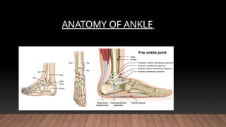 ANKLE radiographic procedure and positioning .pptx