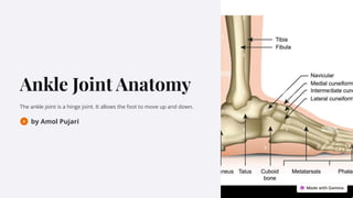 Ankle-Joint-Anatomy.pdf yannba jajjj sjjjl | PDF | Death, Injury, or ...