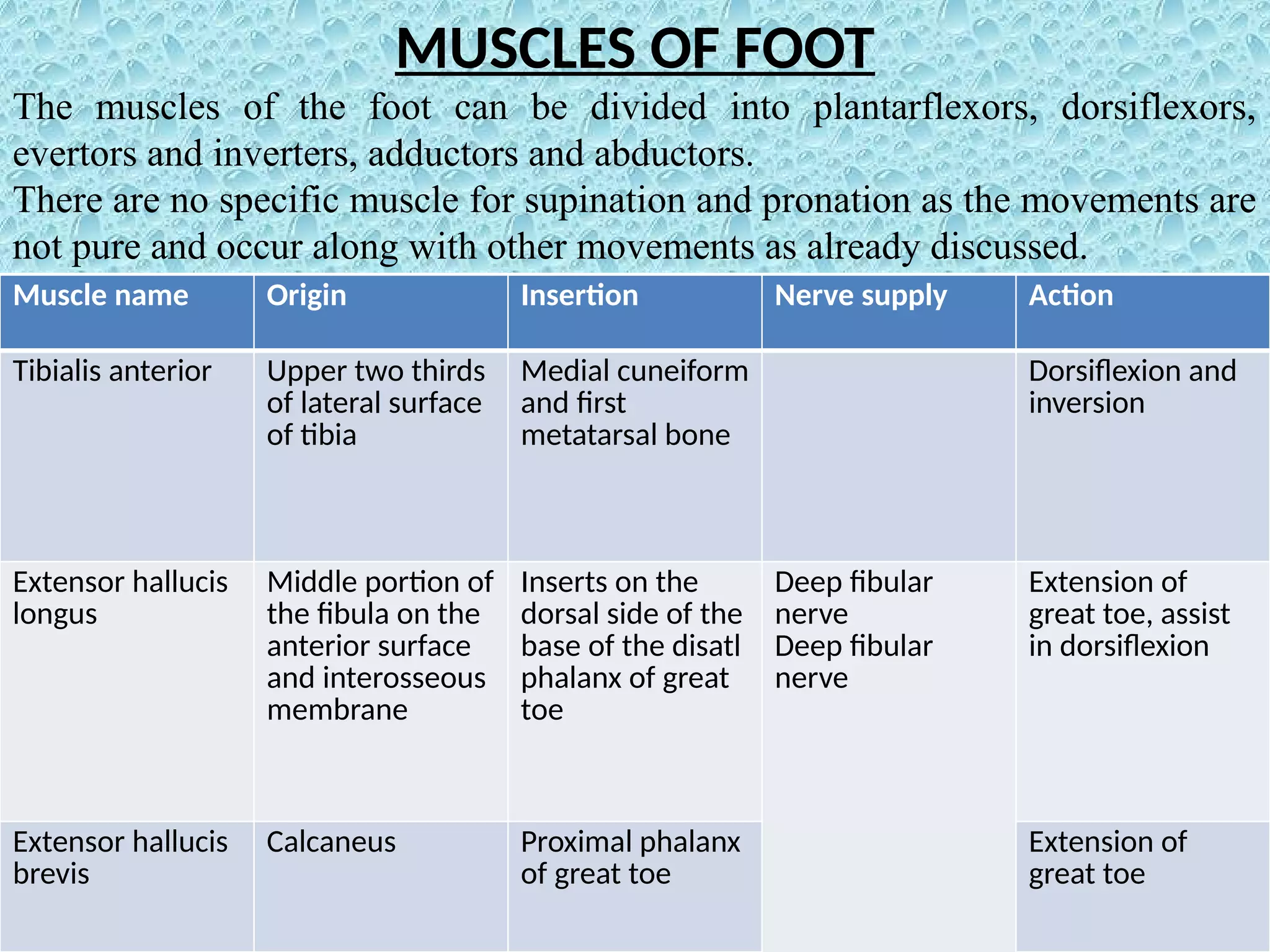Ankle anatomy and biomechanics | PDF