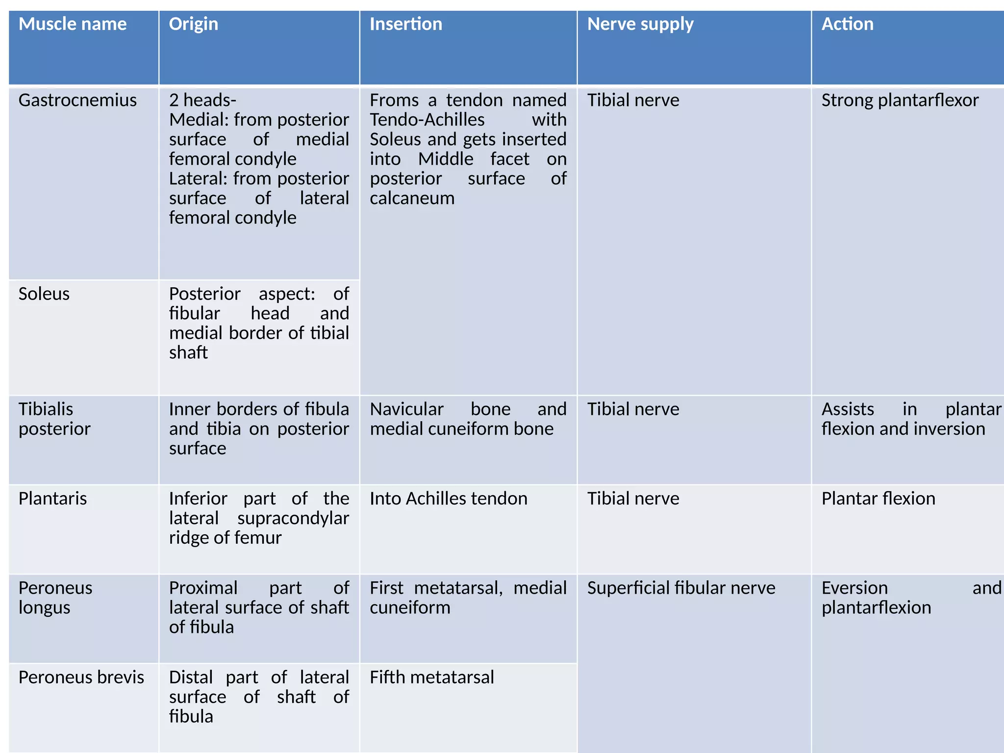 Ankle anatomy and biomechanics | PDF