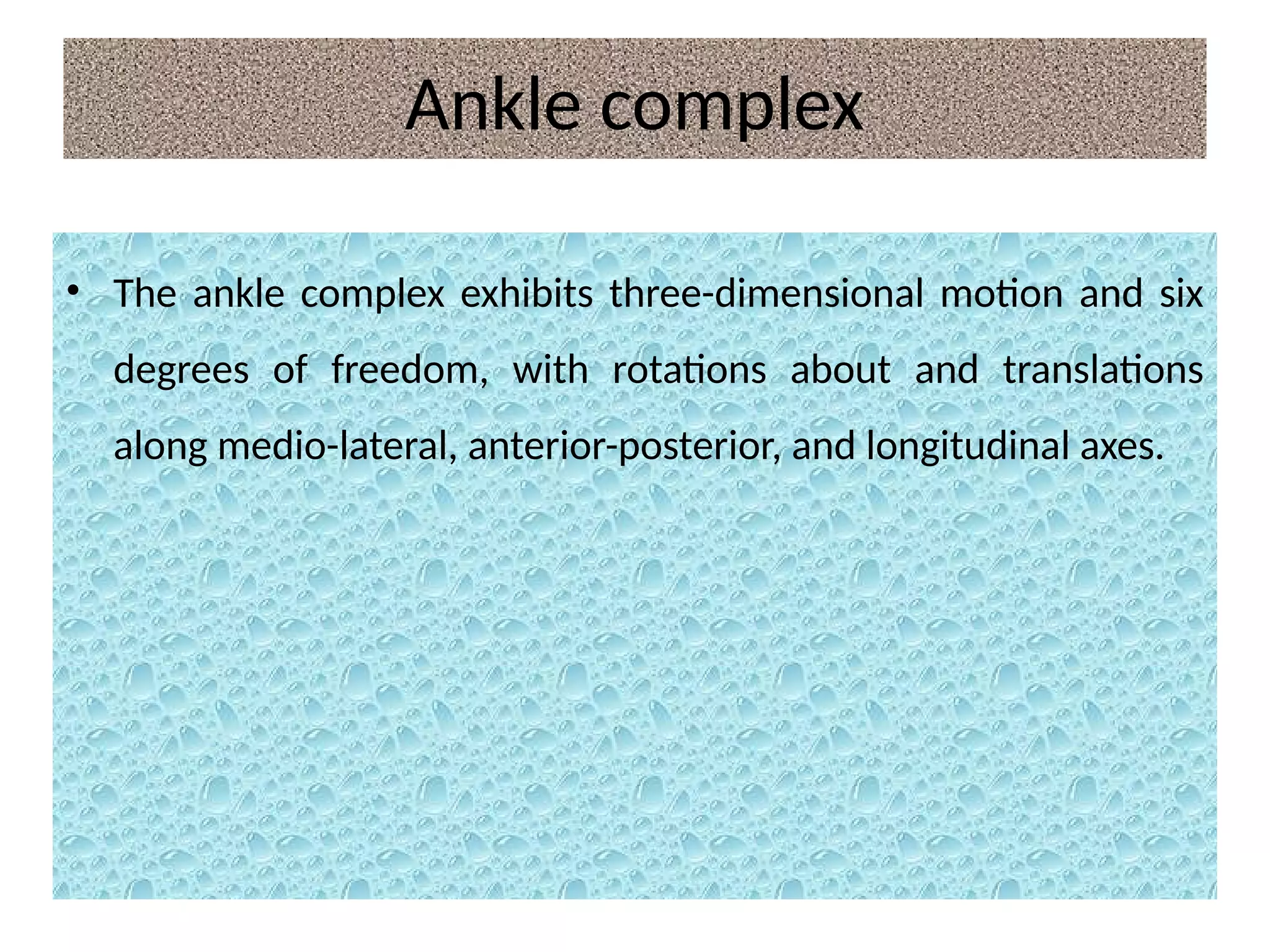 Ankle anatomy and biomechanics | PDF