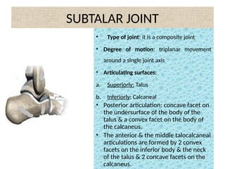 Ankle anatomy and biomechanics | PDF