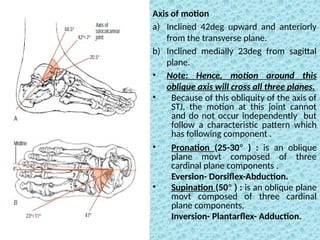 Ankle anatomy and biomechanics | PDF