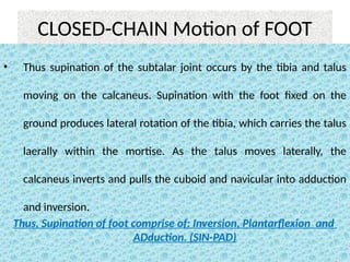 Ankle anatomy and biomechanics | PDF