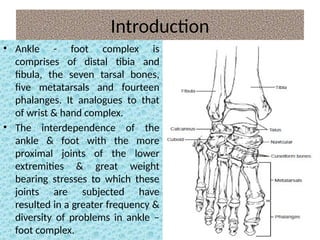 Ankle anatomy and biomechanics | PDF