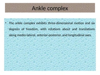 Ankle anatomy and biomechanics | PDF