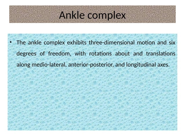 Ankle anatomy and biomechanics | PDF