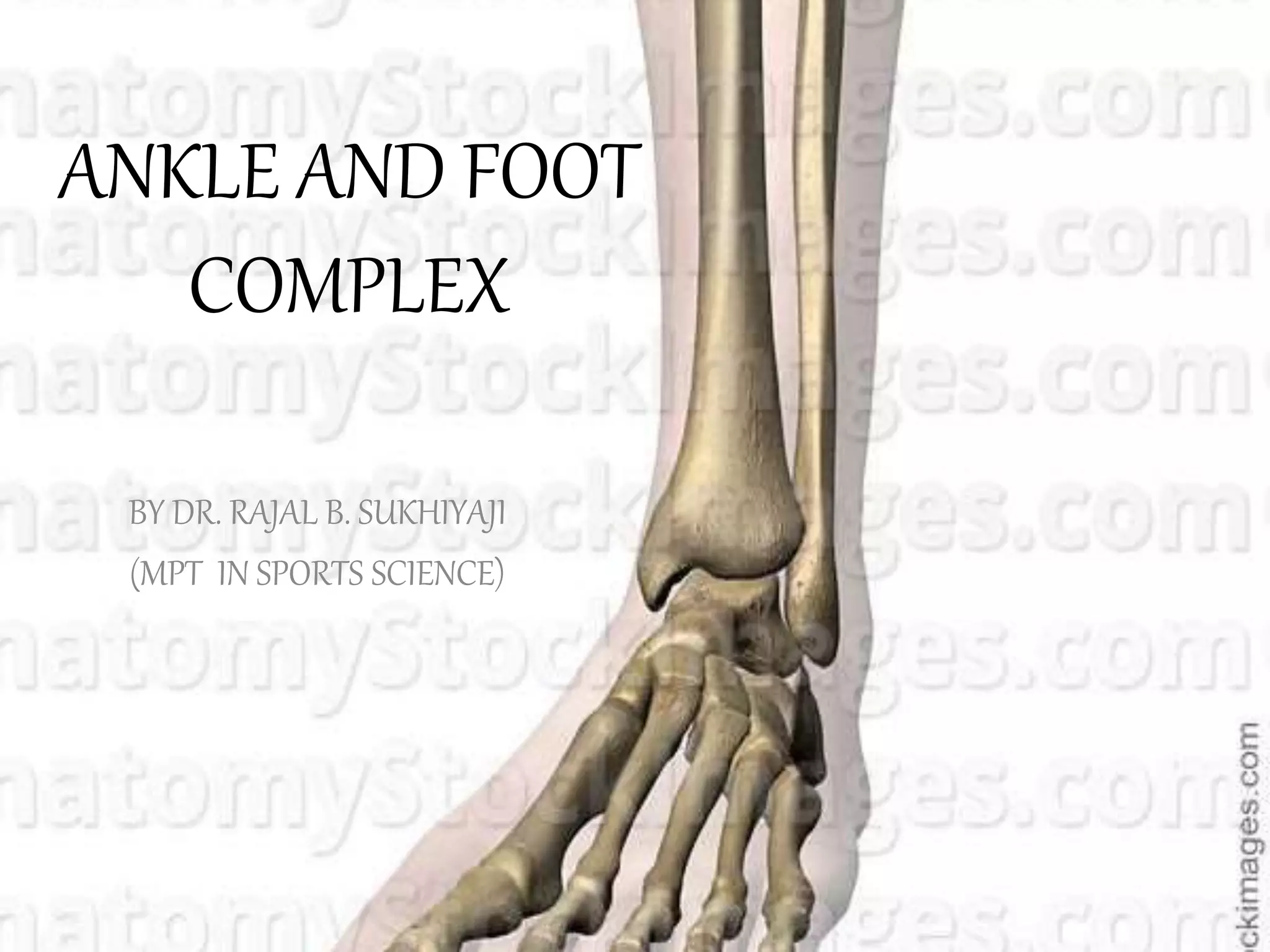 Ankle and foot complex | PPTX