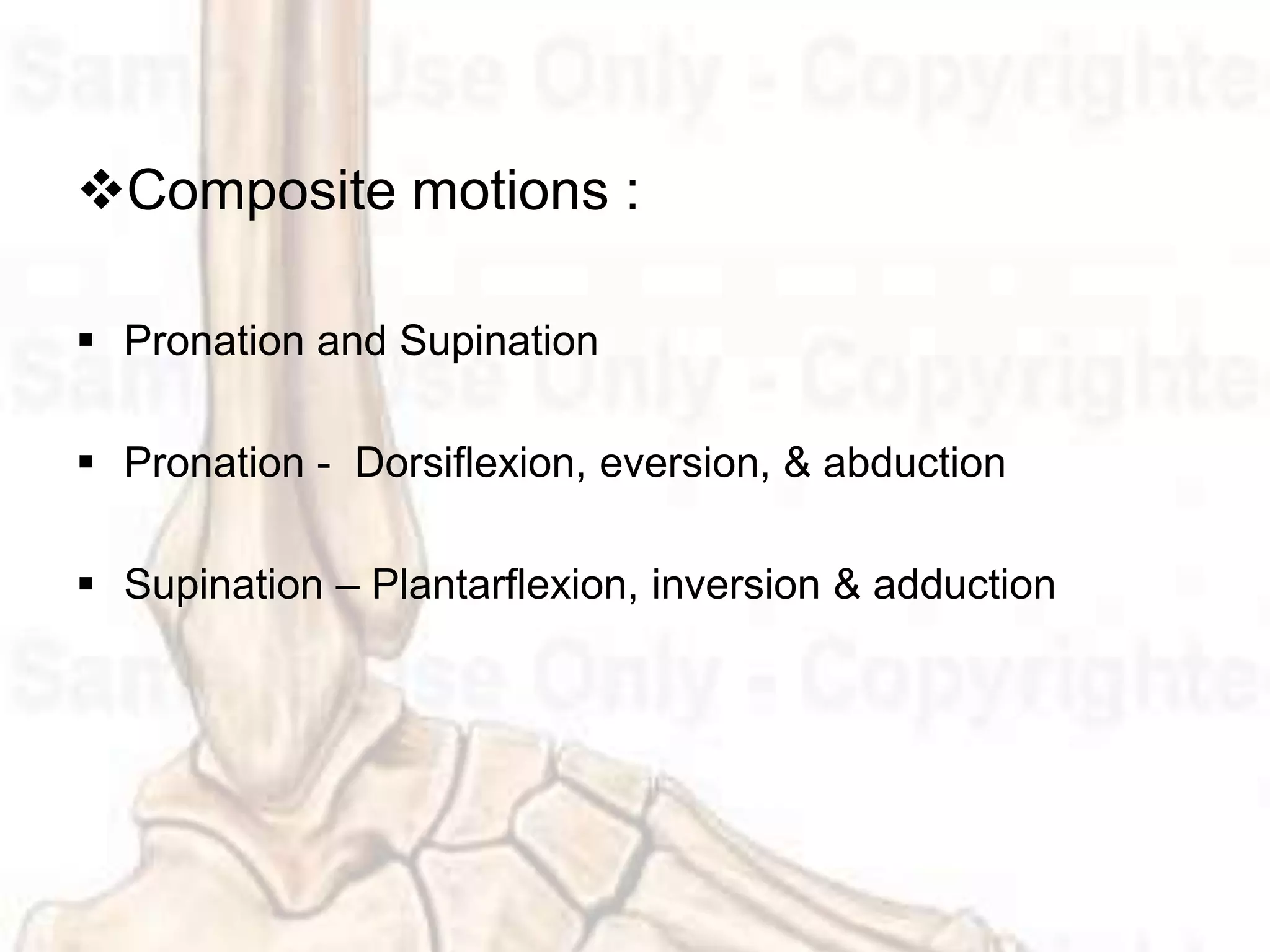 Ankle and foot complex | PPTX