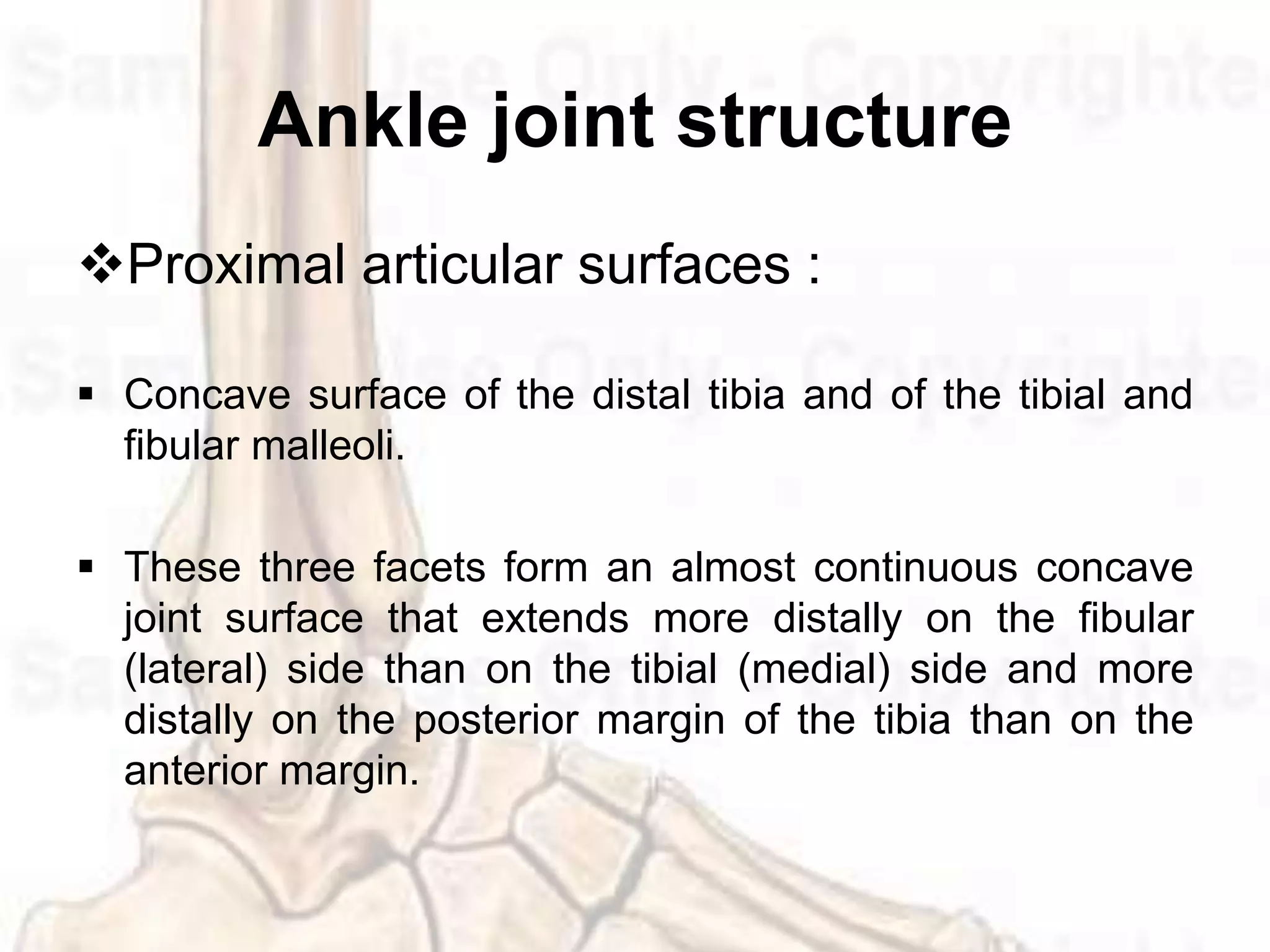 Ankle and foot complex | PPTX