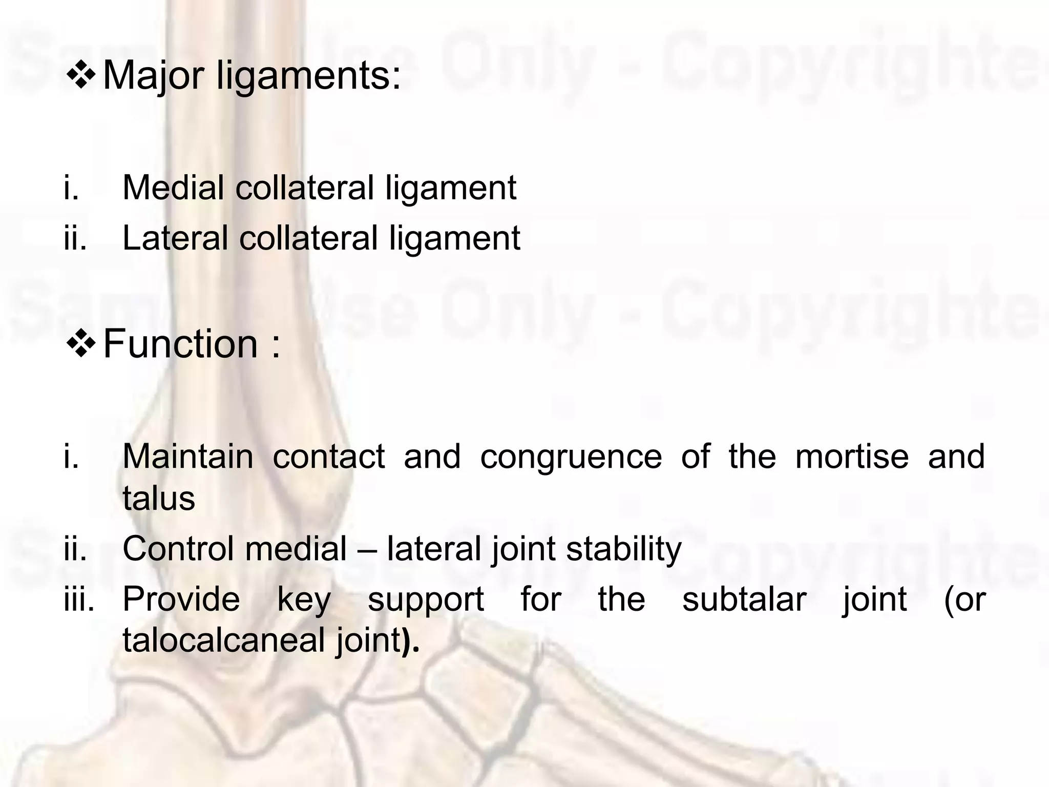 Ankle and foot complex | PPTX