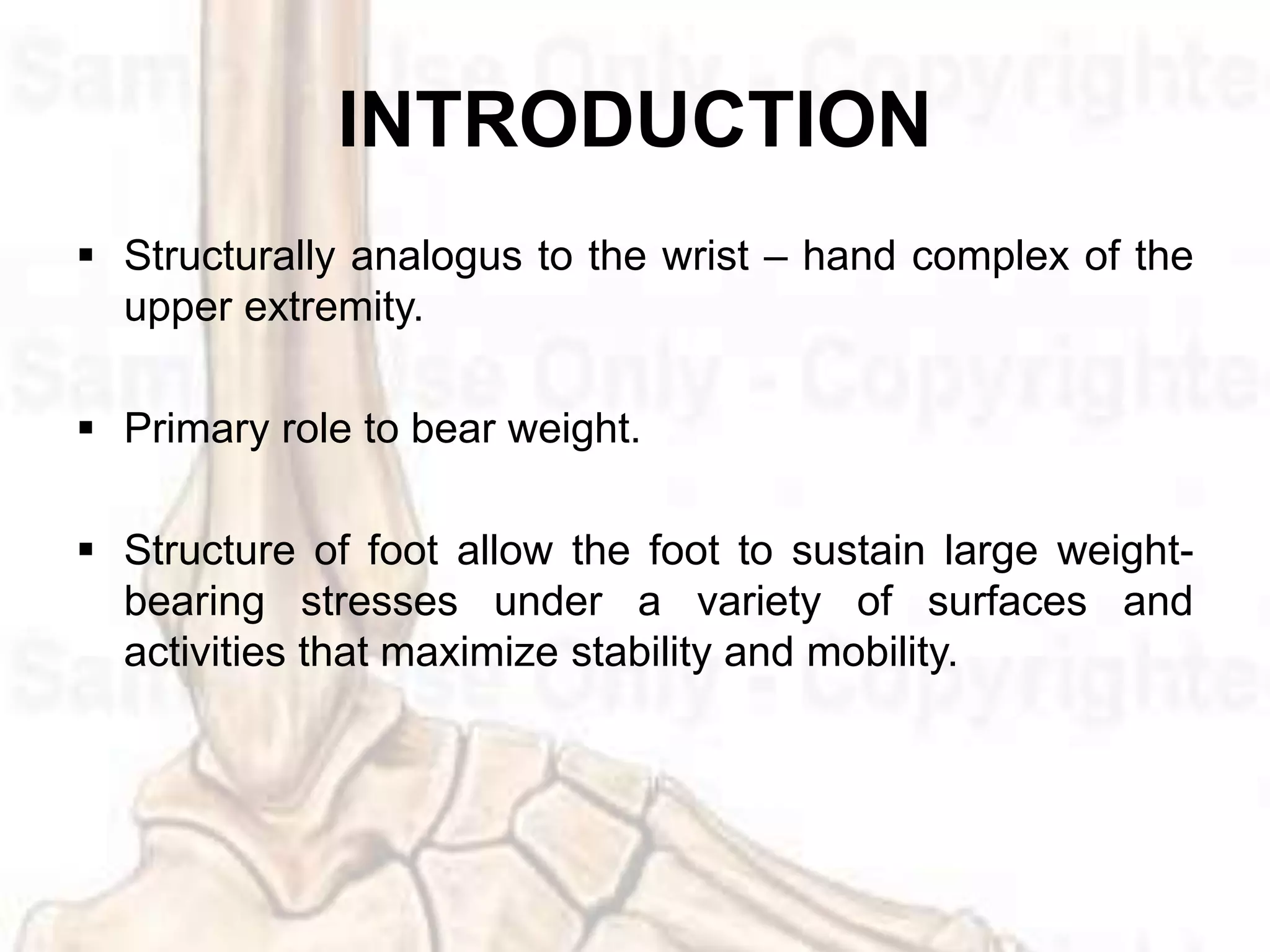 Ankle and foot complex | PPTX