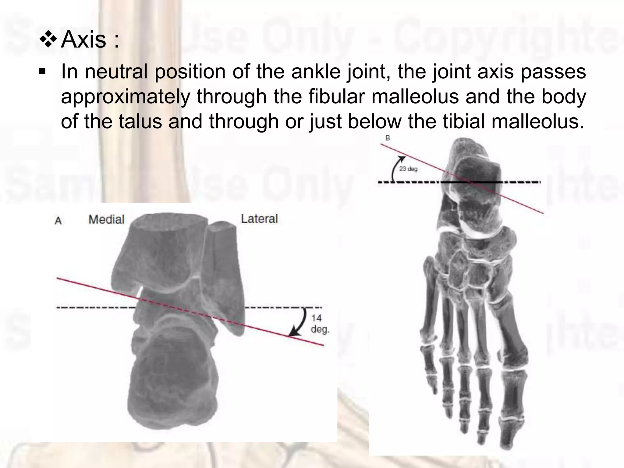 Ankle and foot complex | PPTX