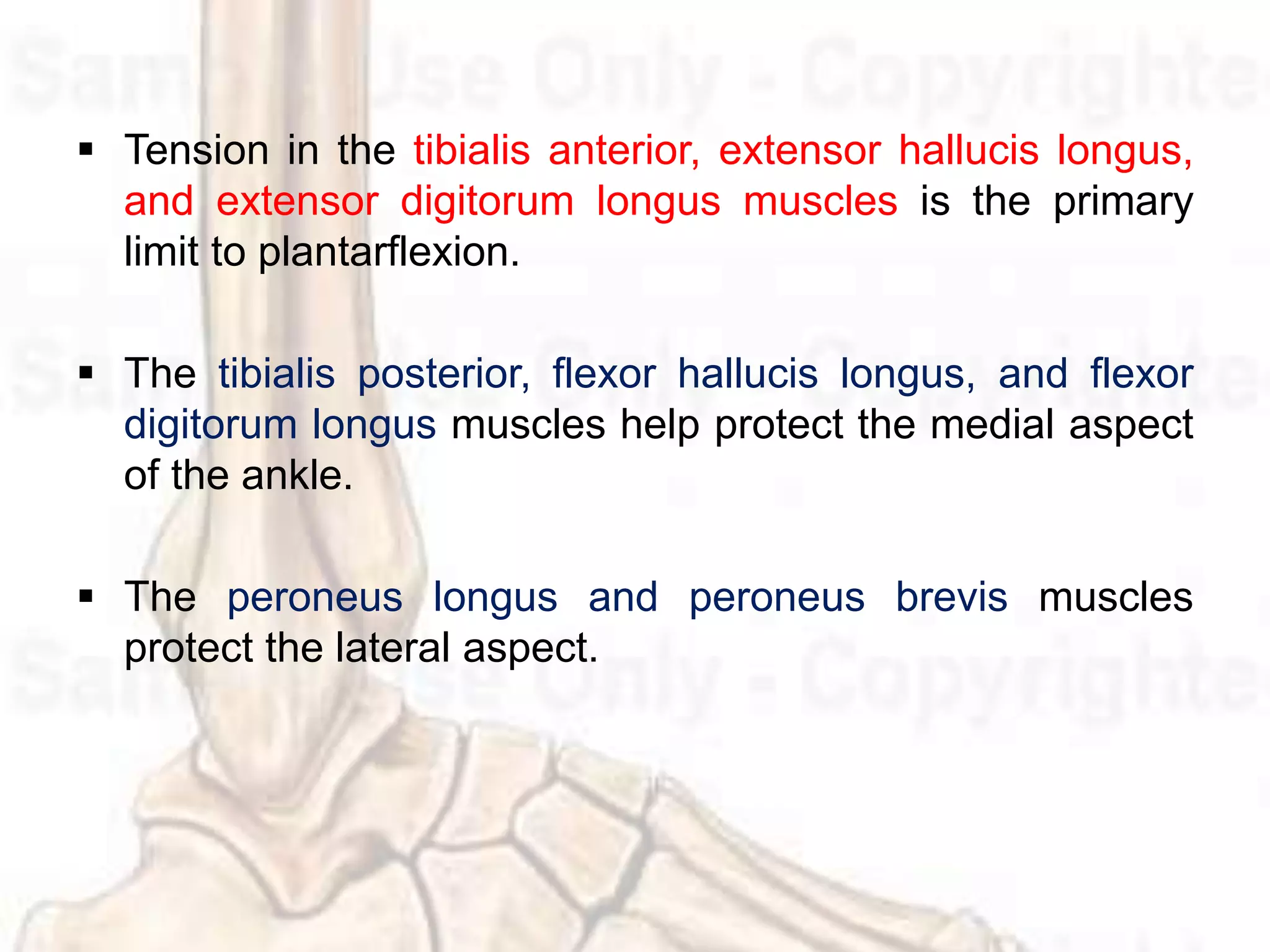 Ankle and foot complex | PPTX