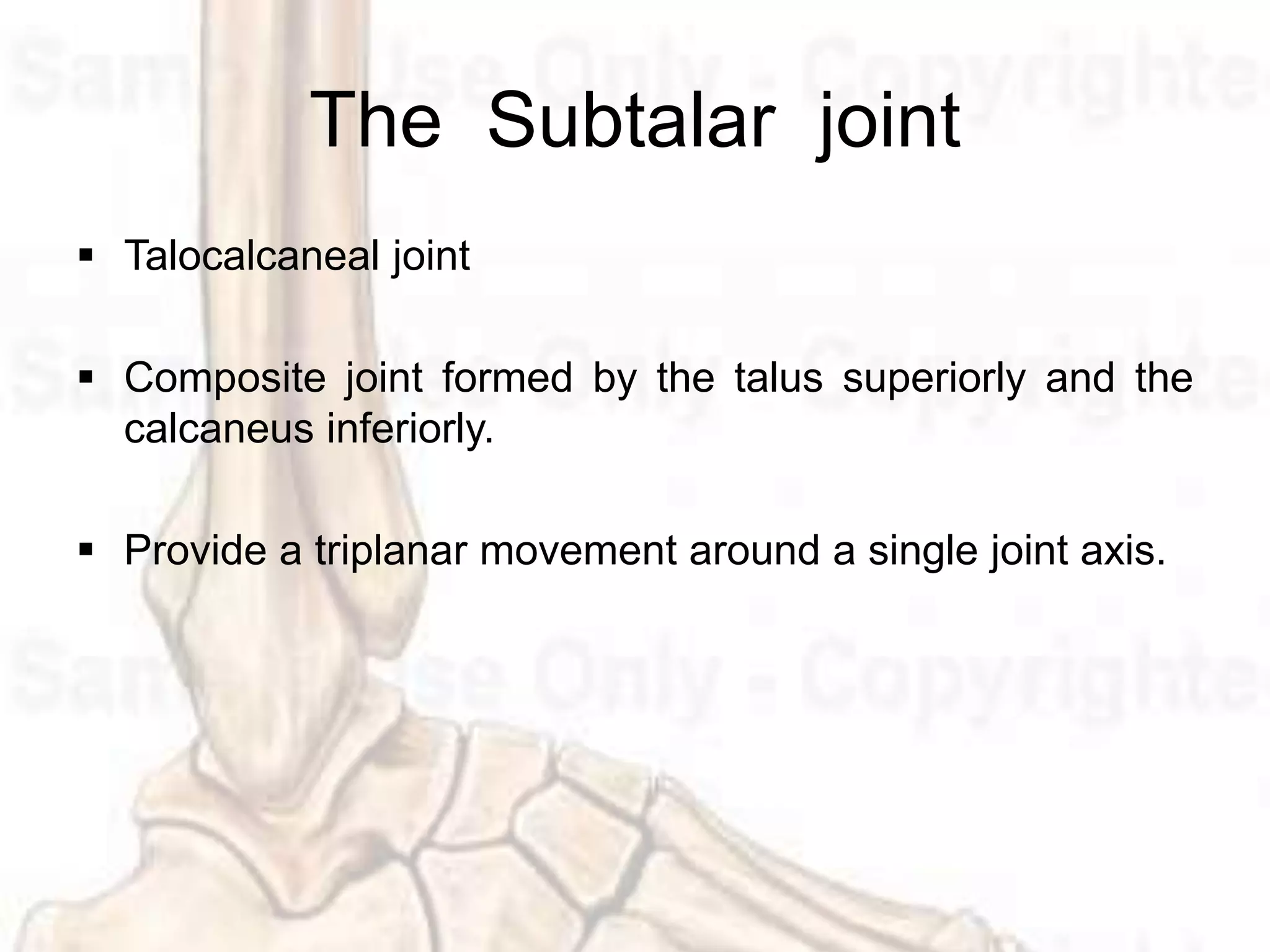 Ankle and foot complex | PPTX