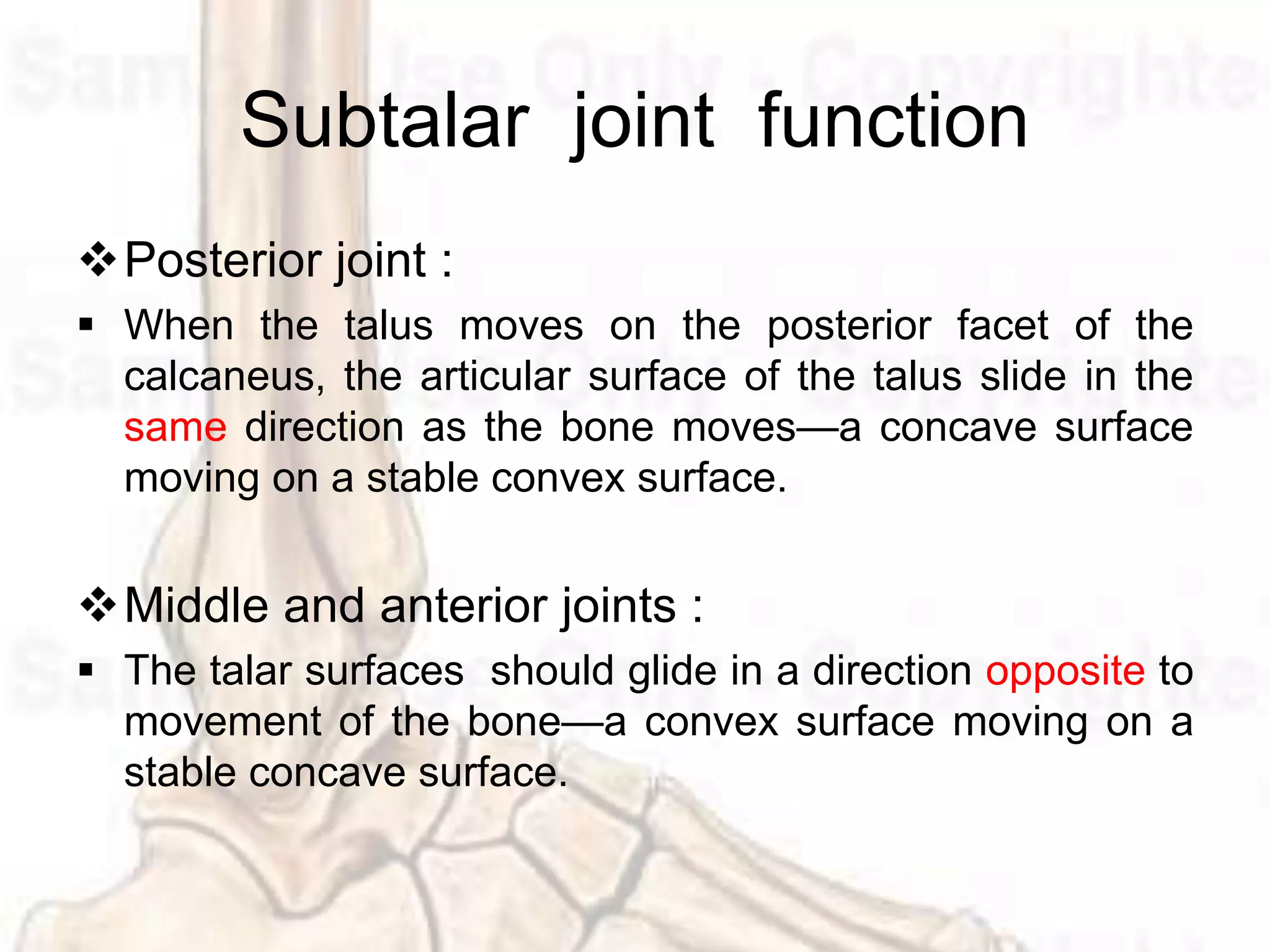 Ankle and foot complex | PPTX