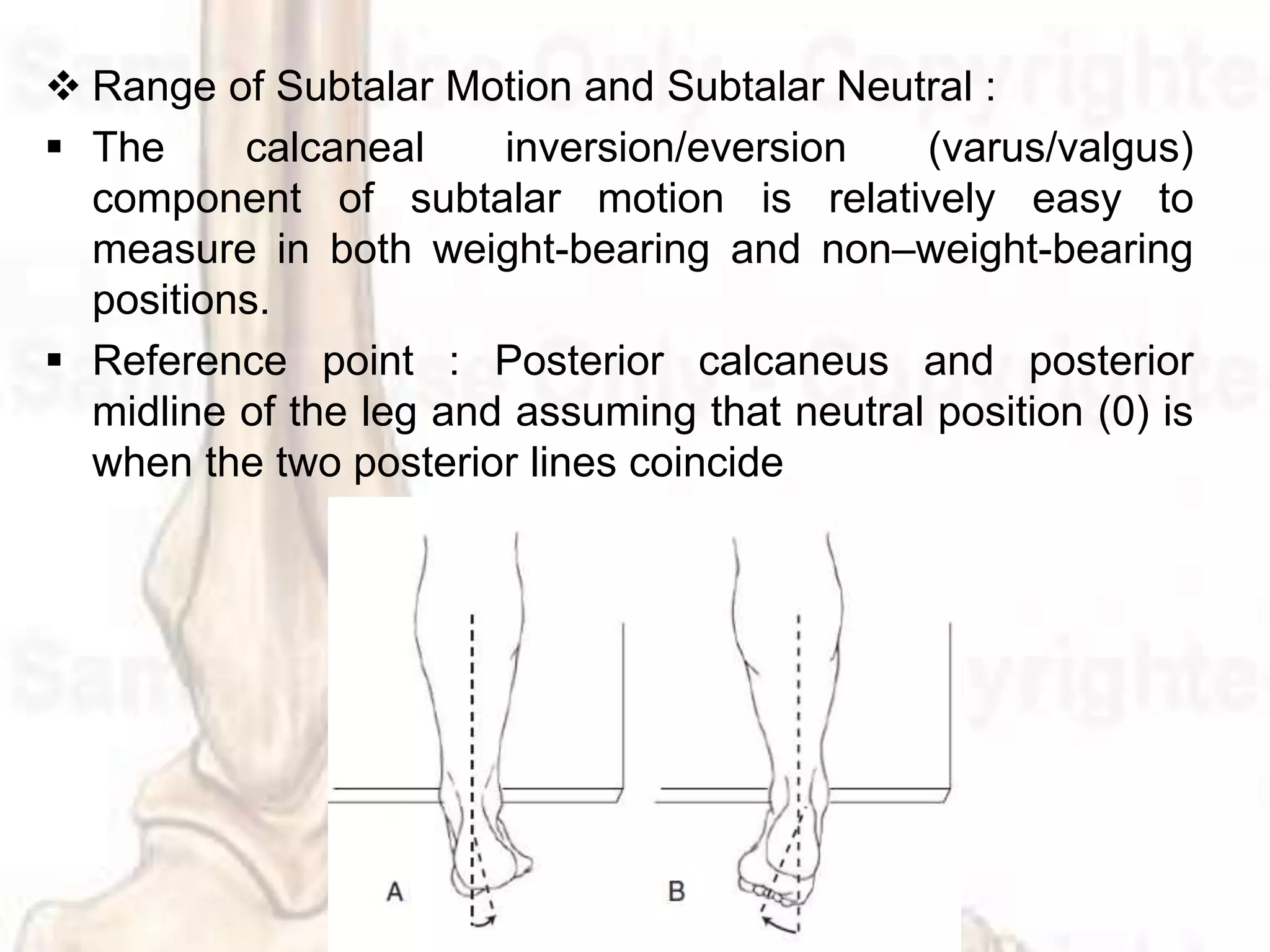 Ankle and foot complex | PPTX