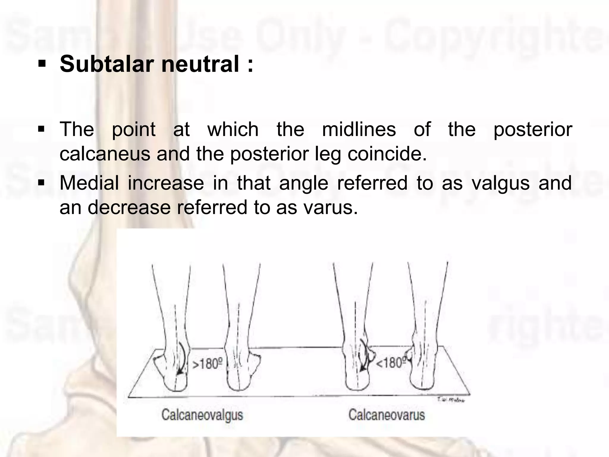 Ankle and foot complex | PPTX