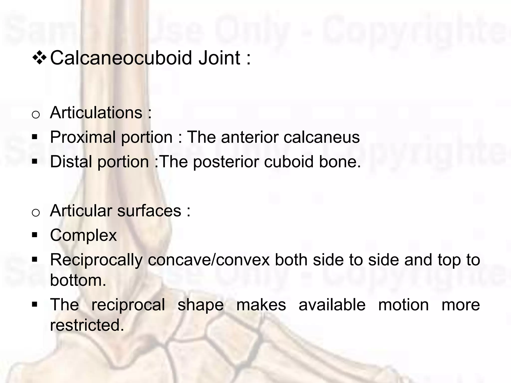 Ankle and foot complex | PPTX