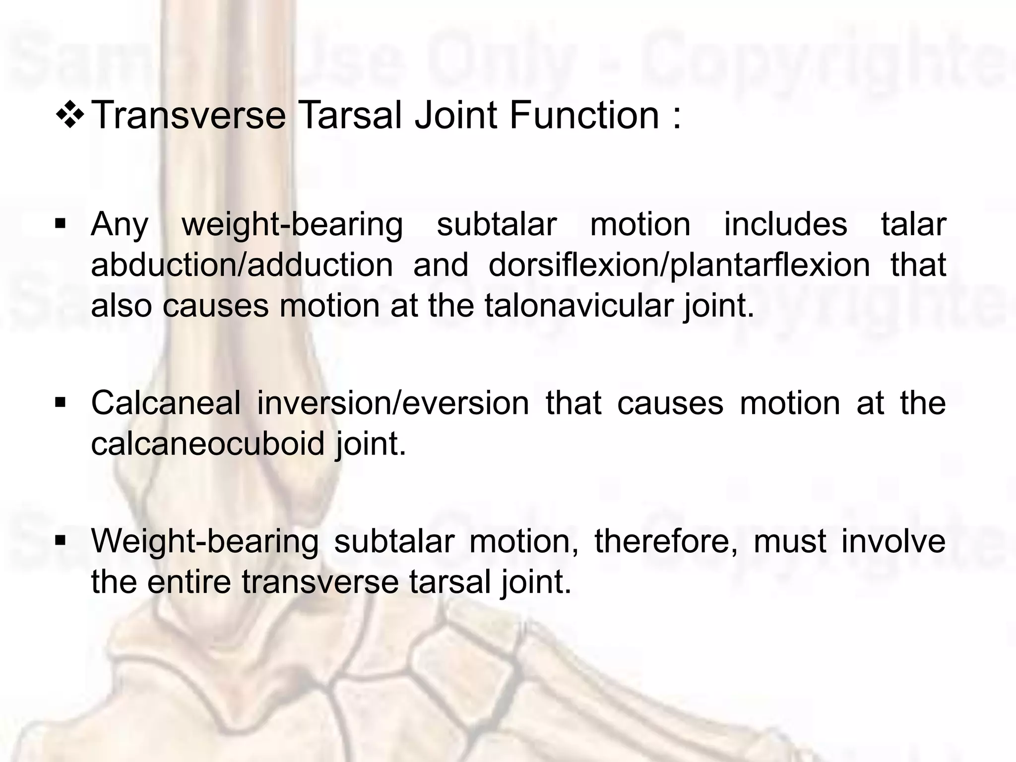 Ankle and foot complex | PPTX